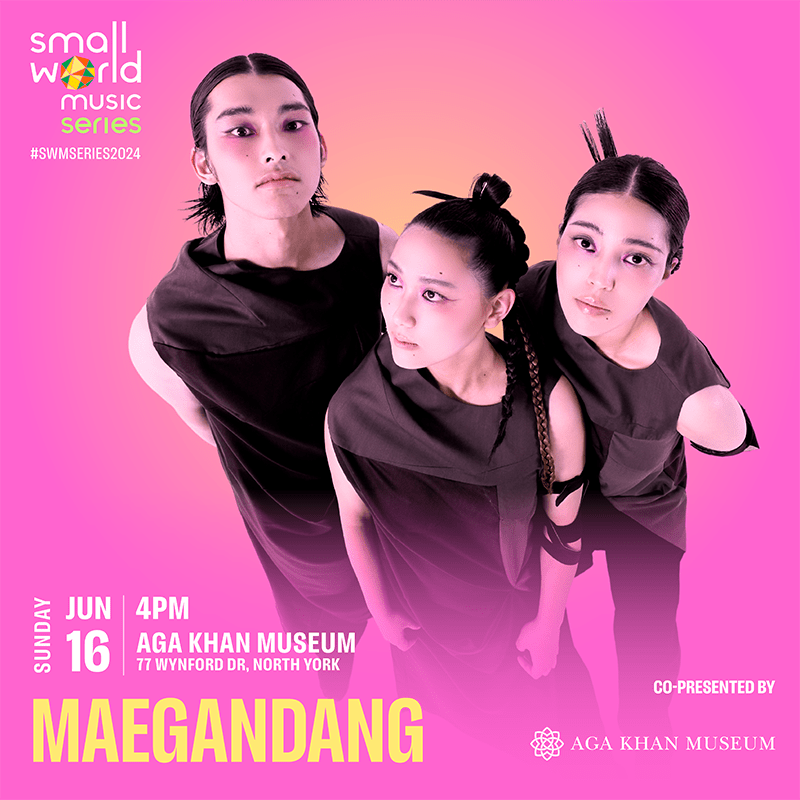 Small World Music Series - Small World Music